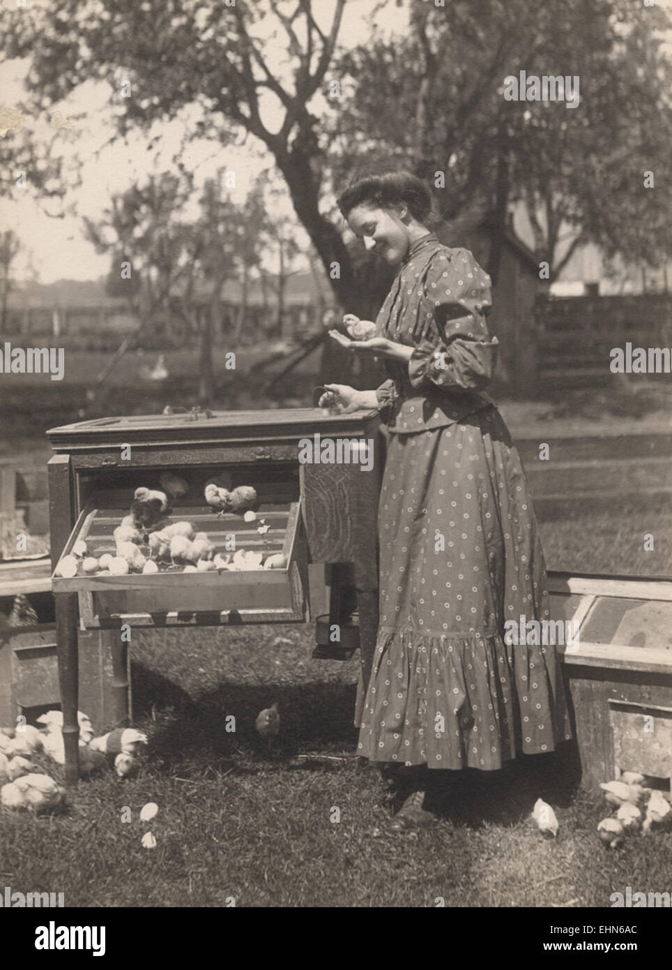 Photograph captures rural agricultural hi-res stock photography and ...