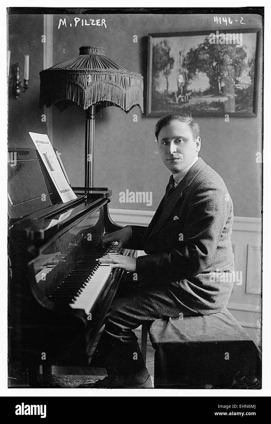 This entry refers to an artist or artwork titled 'M Pilzer'. Further ...