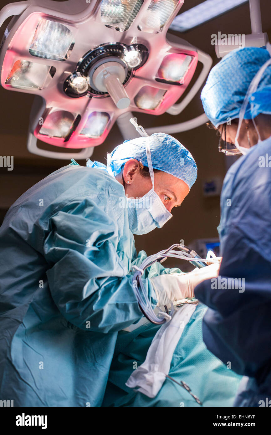 Surgeon performing cochlear implant surgery, an operation involving the ...