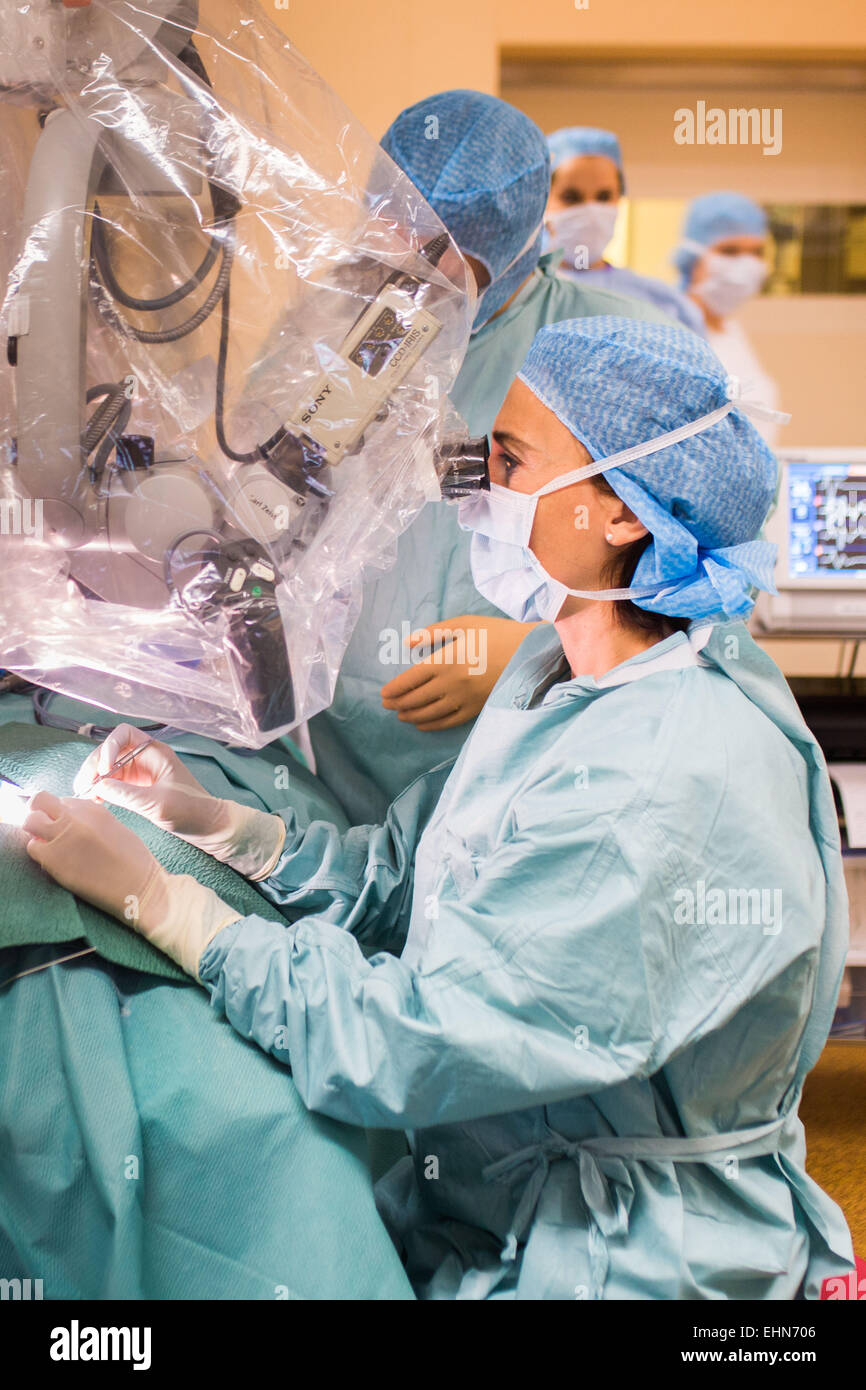 Surgeon performing cochlear implant surgery, an operation involving the ...