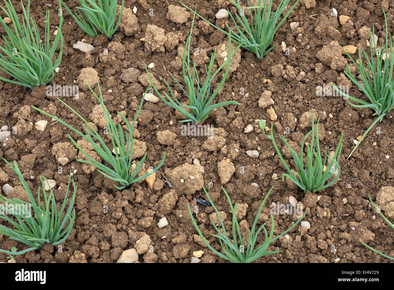 Staggered hi-res stock photography and images - Alamy