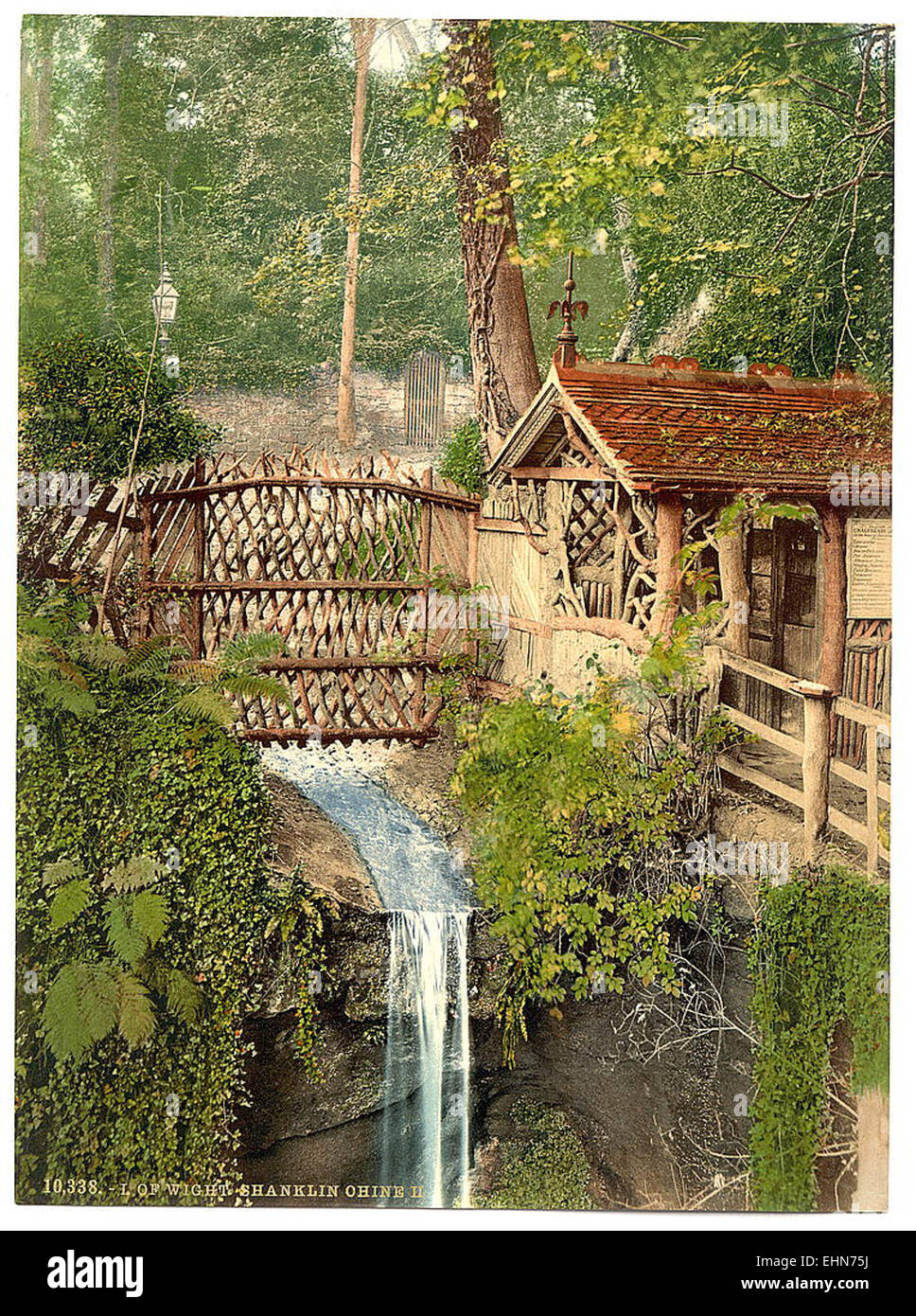 Shanklin Chine is a picturesque ravine on the Isle of Wight, England ...