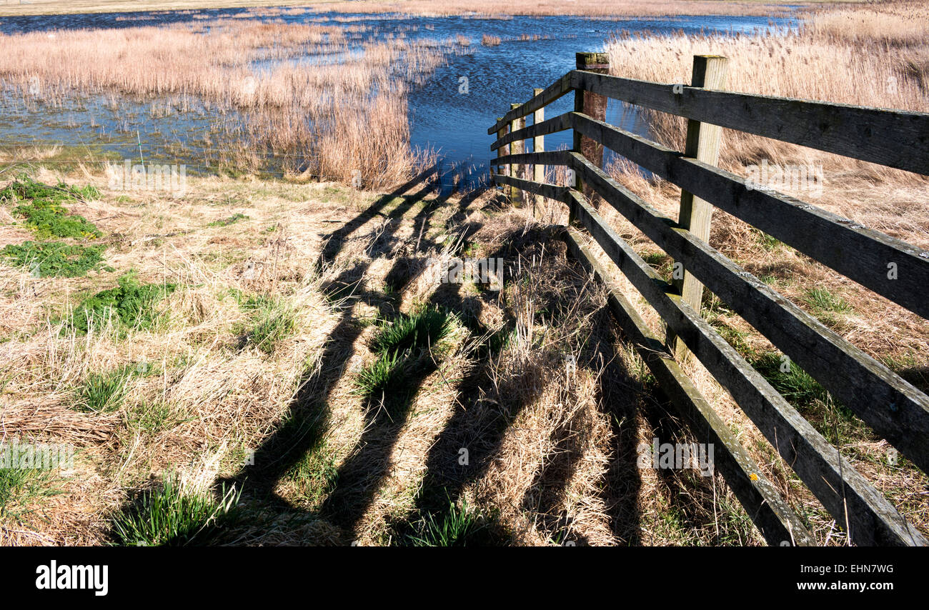 Elmley Nature Reserve Stock Photo - Alamy