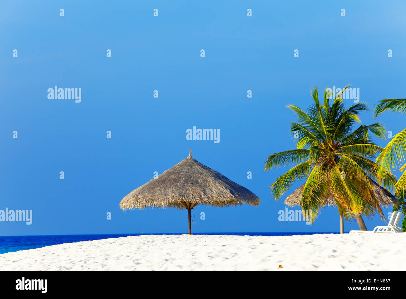 parasol under palm tree Stock Photo - Alamy