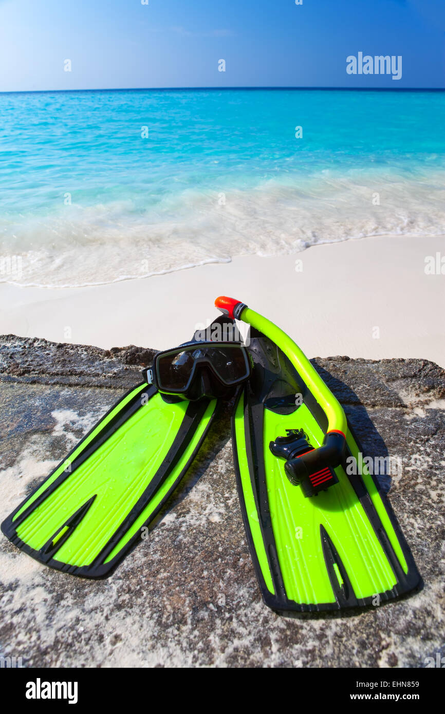 Mask for snorkeling hi-res stock photography and images - Alamy