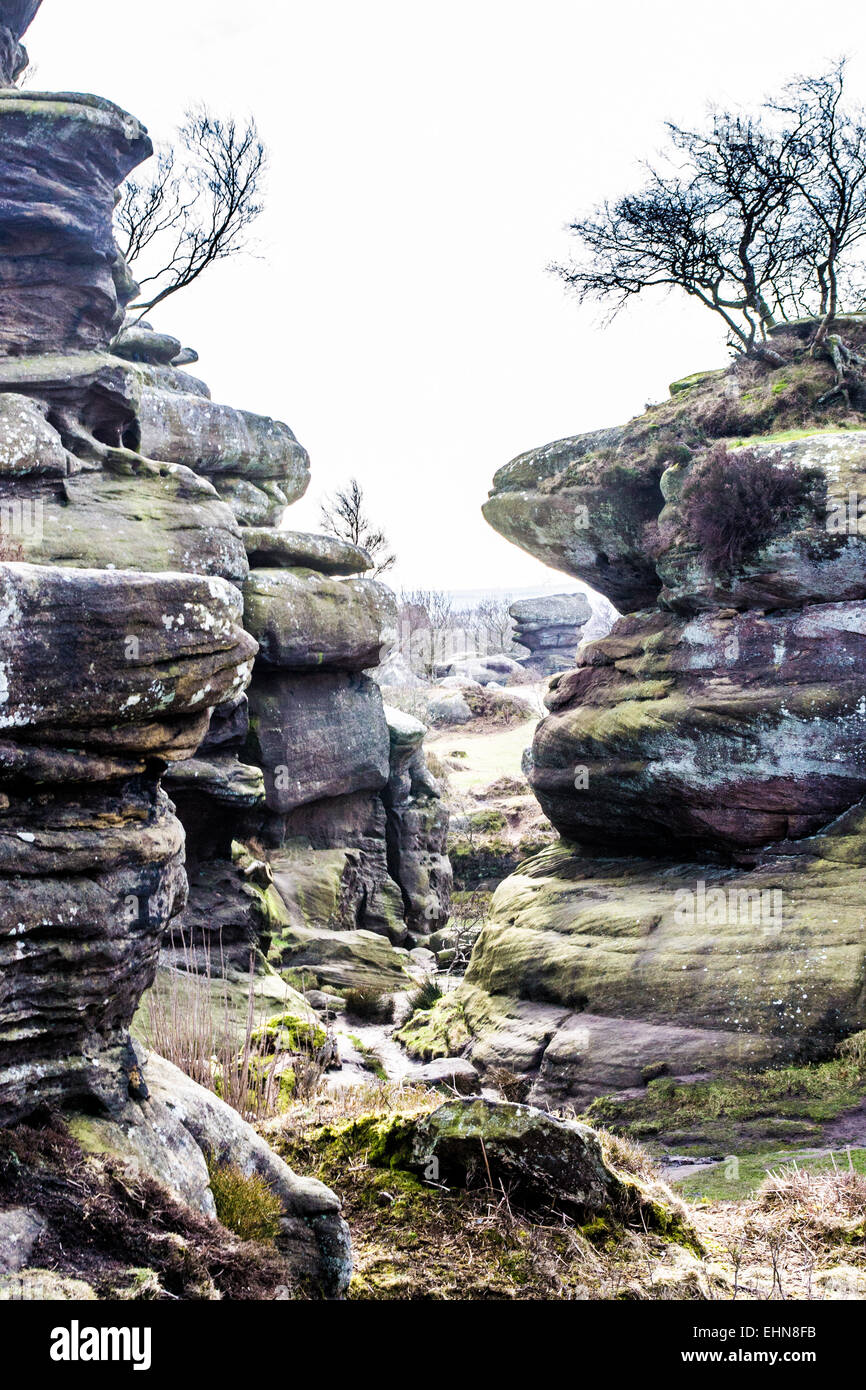 Brimham Rocks, Yorkshire Stock Photo - Alamy