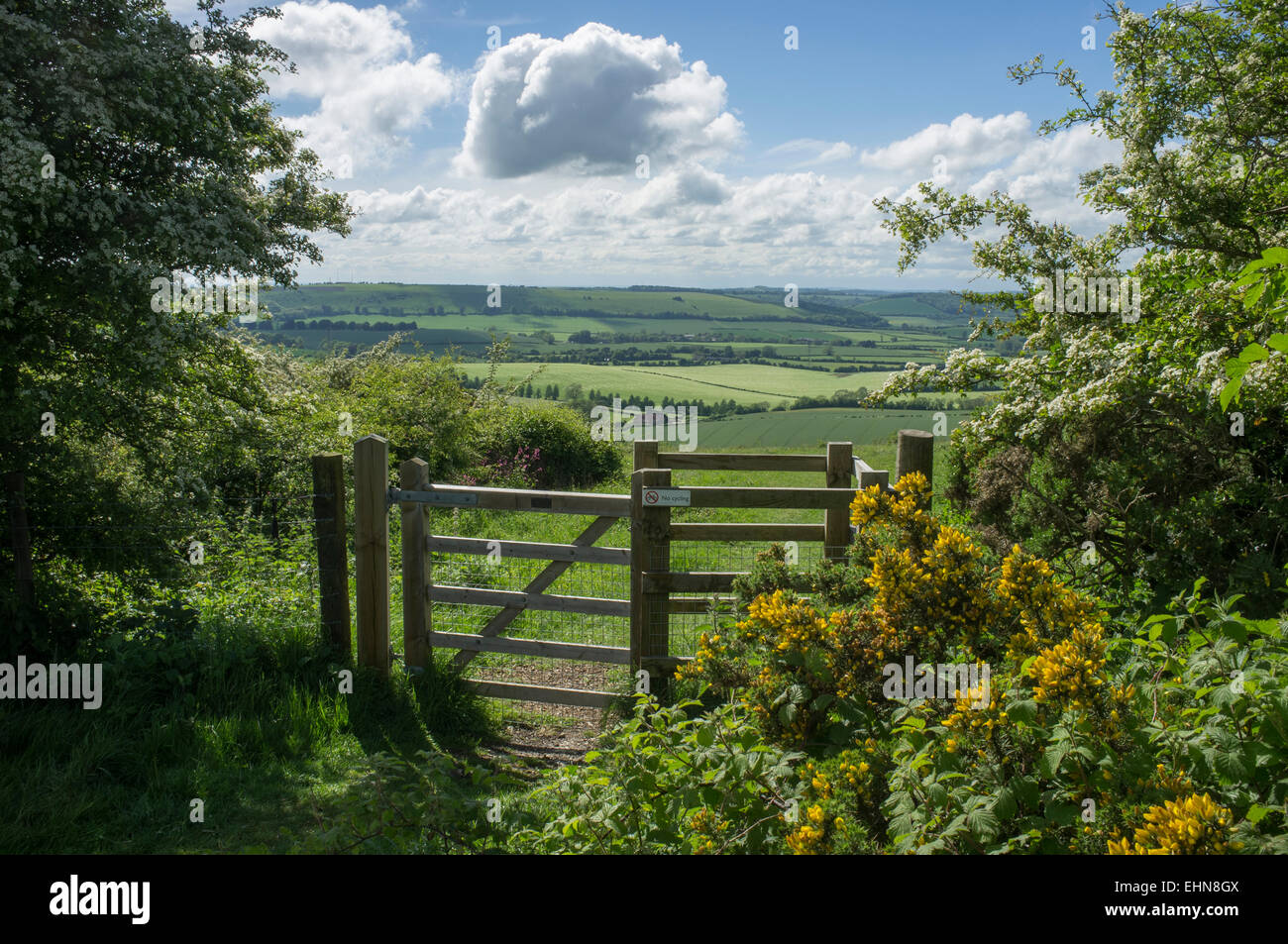 View towards East Meon from Butser Hill in the South Downs National ...