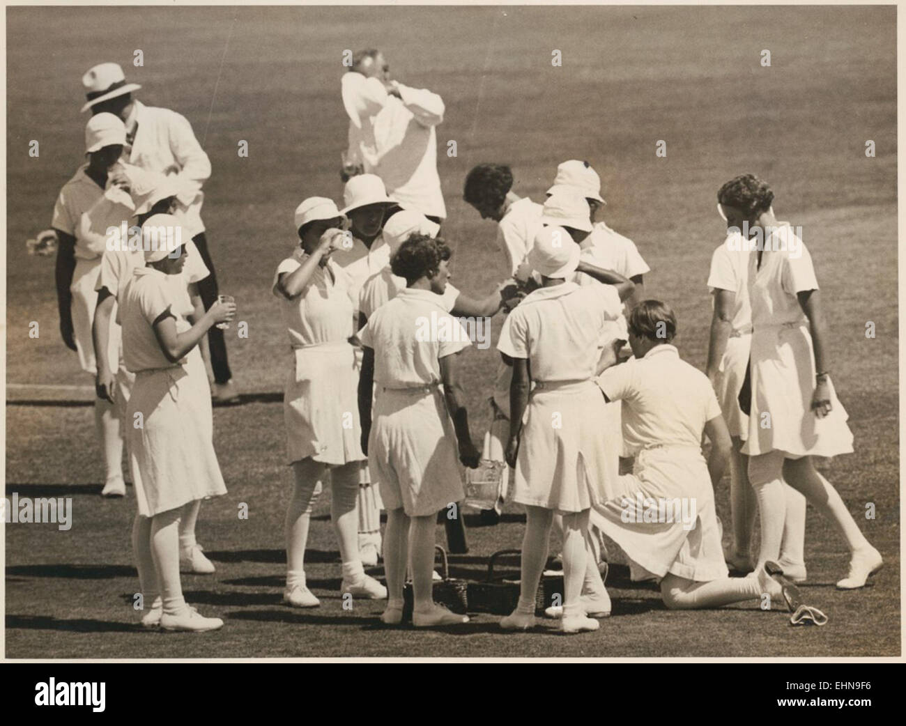Cricket drinking hi-res stock photography and images - Alamy