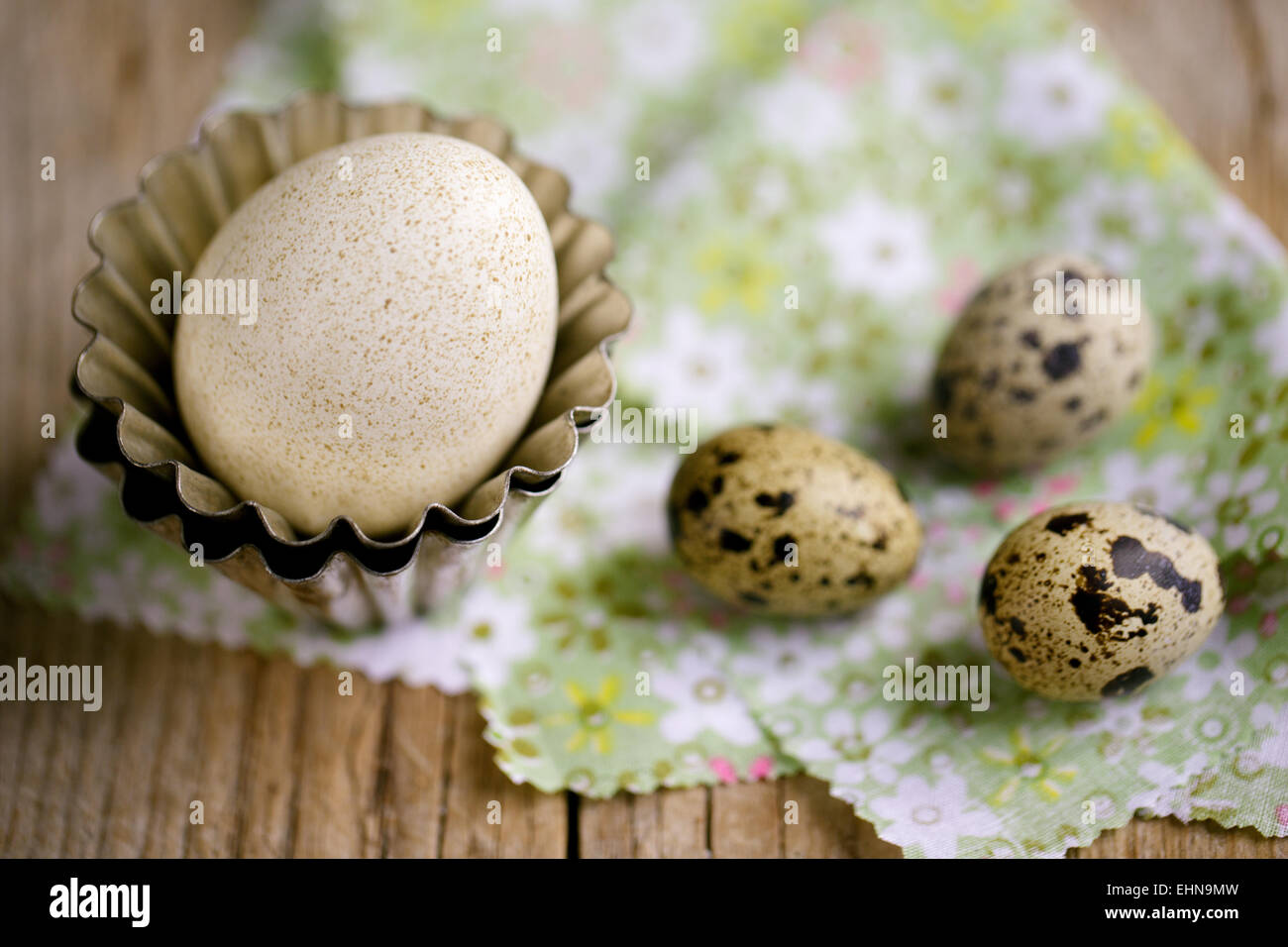 Duck Egg and Quail Eggs Stock Photo - Alamy