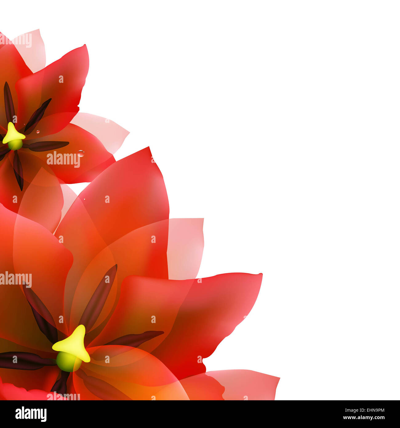 Borders Of Red Tulips And Blur Stock Photo - Alamy