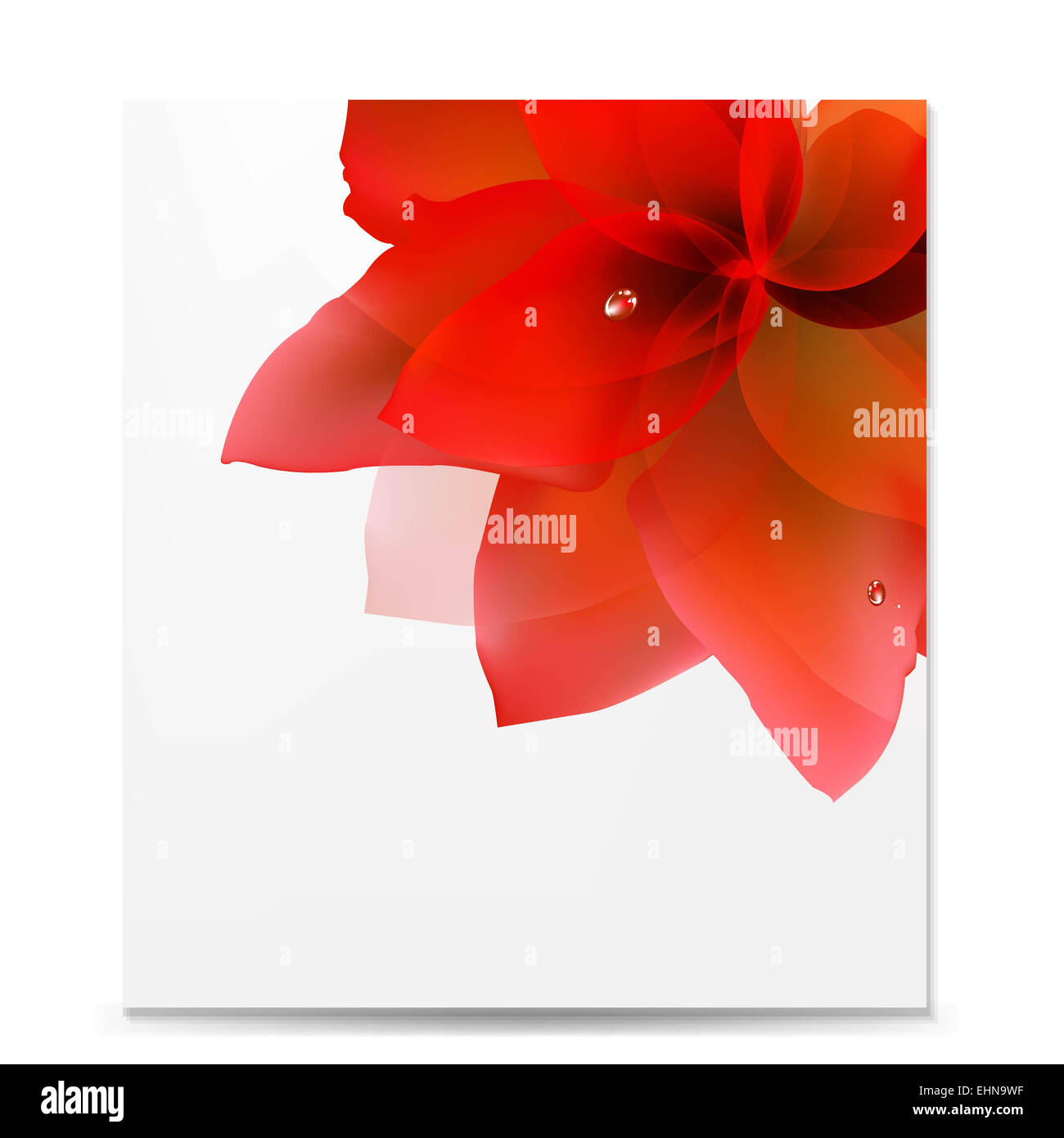 Banner With Red Tulip Stock Photo - Alamy