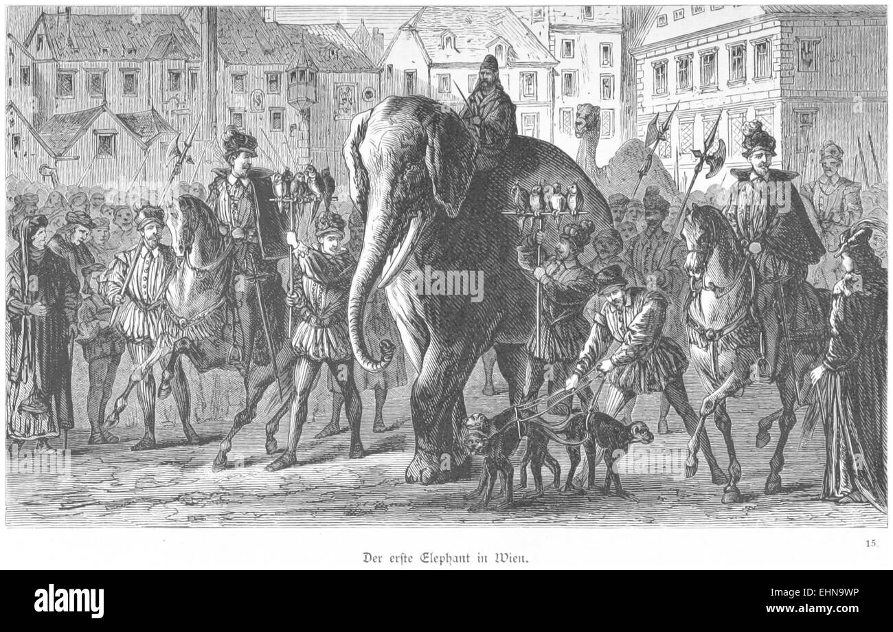 This 1880 illustration by Bermann depicts the first elephant in Vienna ...