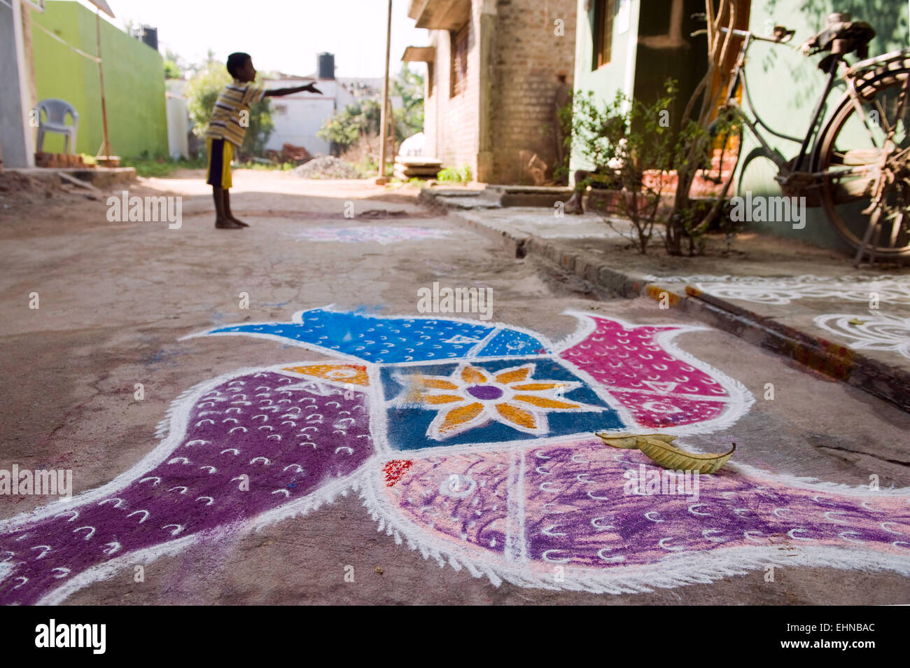Kolams in the village of Kuilapalayam, during Pongal harvest festival ...