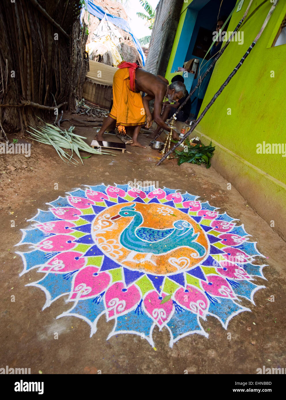 Kolams in the village of Kuilapalayam, during Pongal harvest festival ...