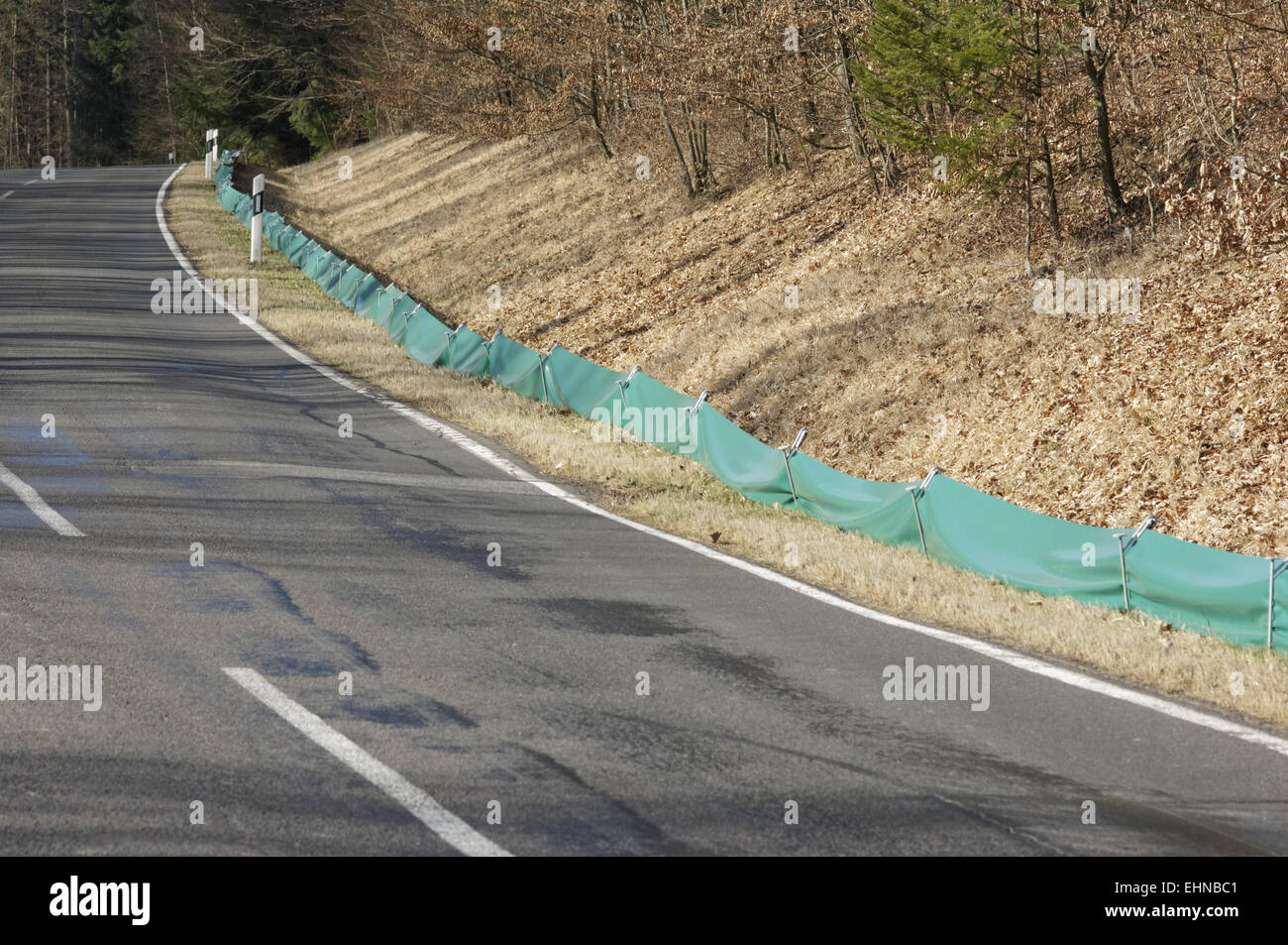 Amphibian fence hi-res stock photography and images - Alamy