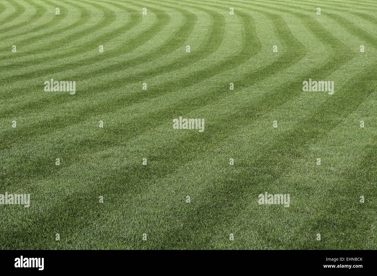 Lawn grass cut pattern garden hi-res stock photography and images - Alamy