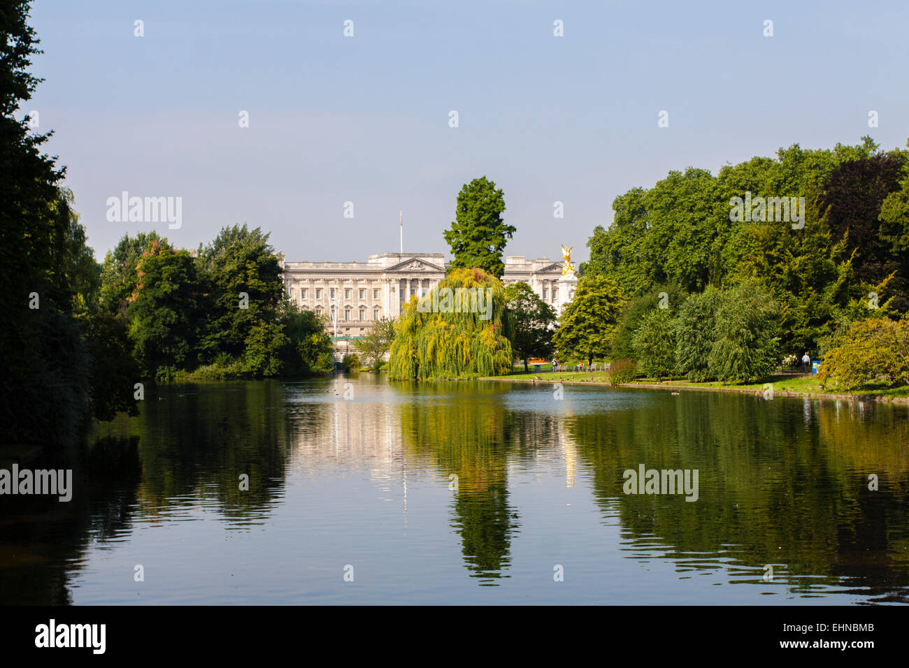 Tree of trees buckingham palace hi-res stock photography and images - Alamy
