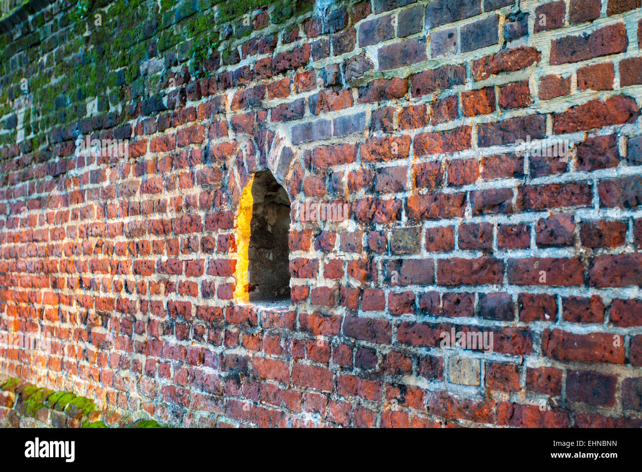 Bee bole hi-res stock photography and images - Alamy