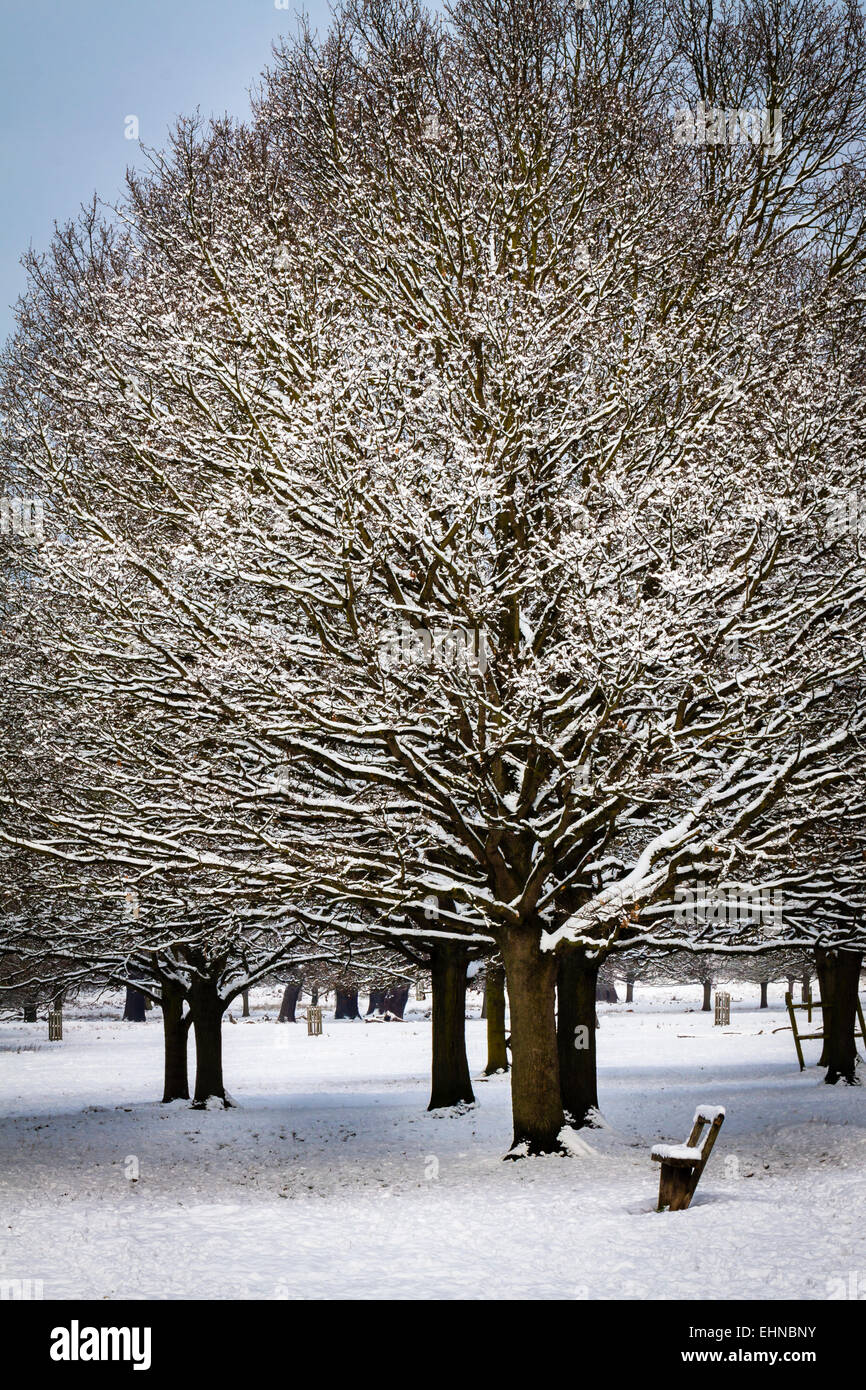 Wintry scenes hi-res stock photography and images - Alamy