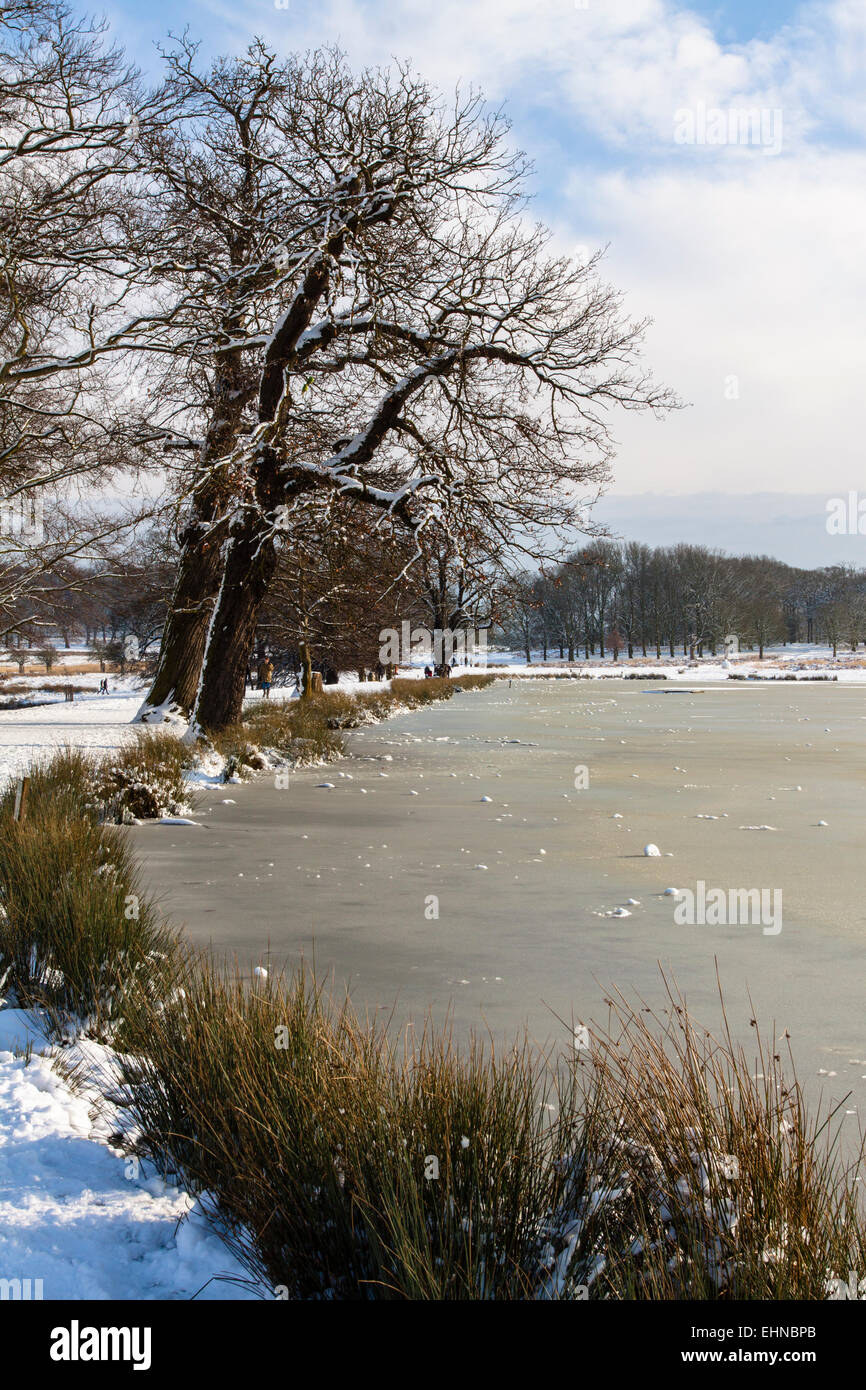 Wintry scenes hi-res stock photography and images - Alamy