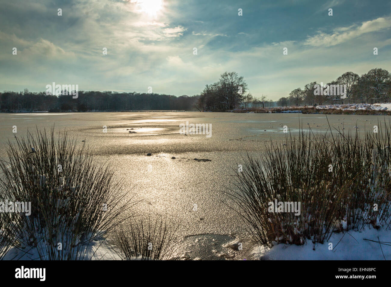 Wintry scenes hi-res stock photography and images - Alamy