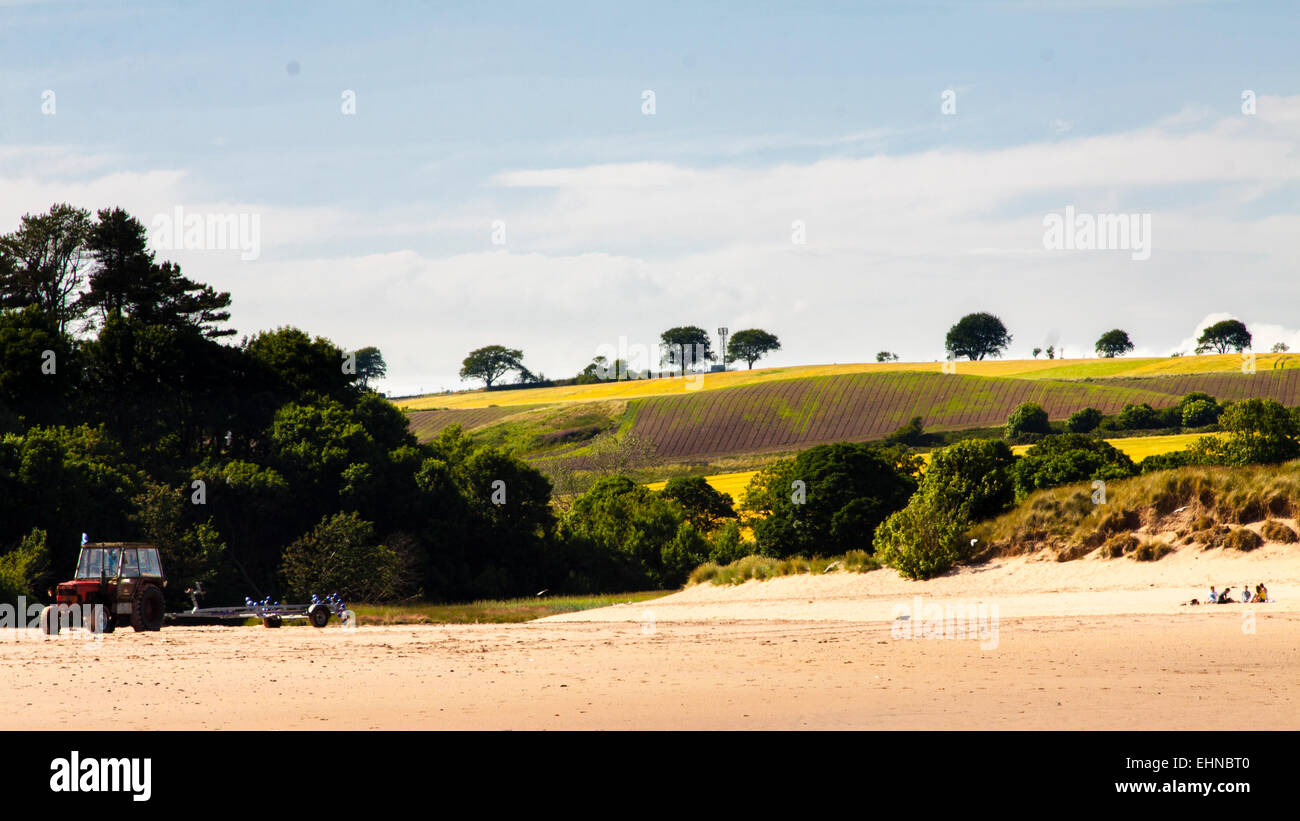 Lunan Bay, Scotland Stock Photo - Alamy