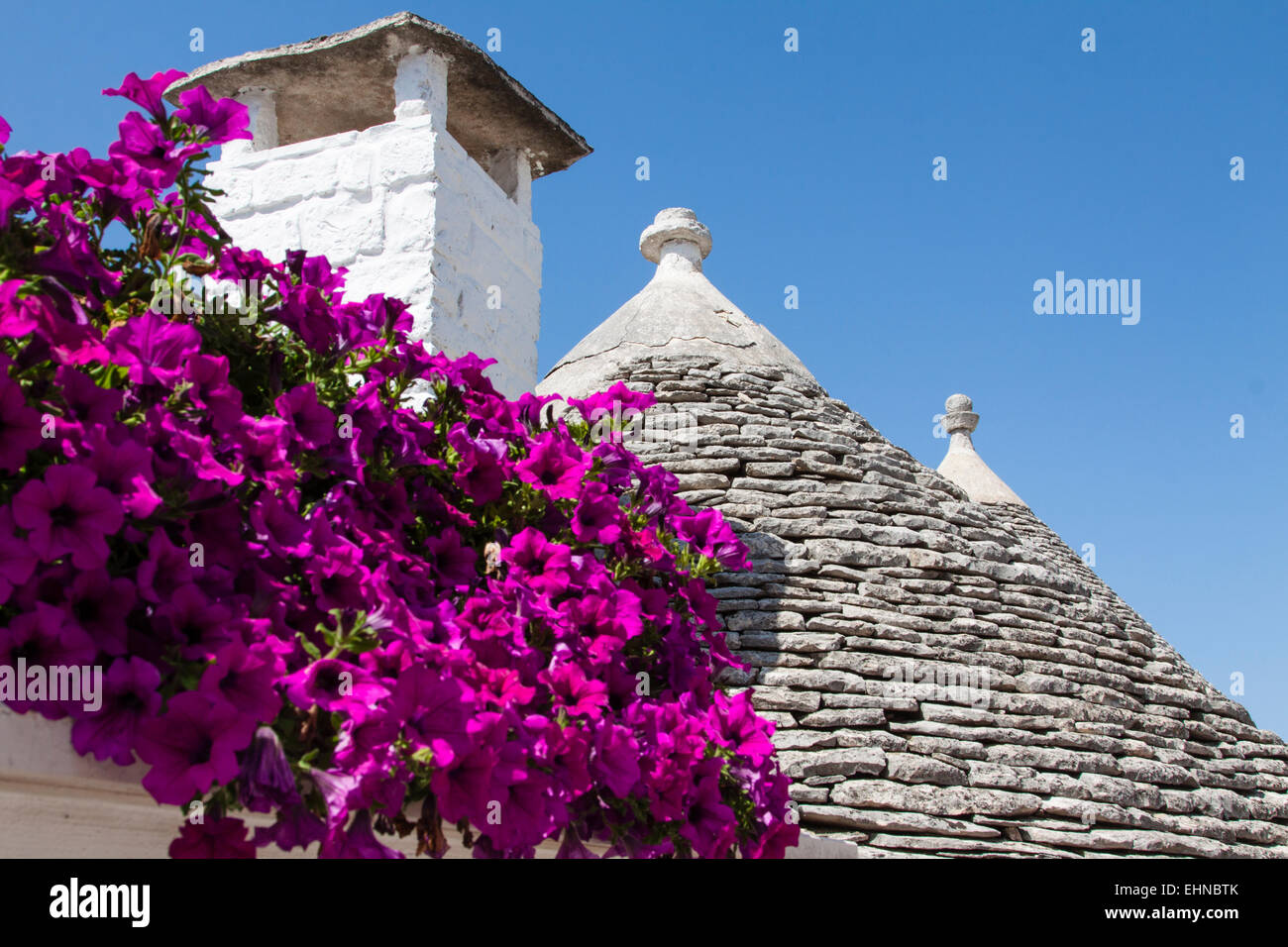 Trulli flower hi-res stock photography and images - Alamy
