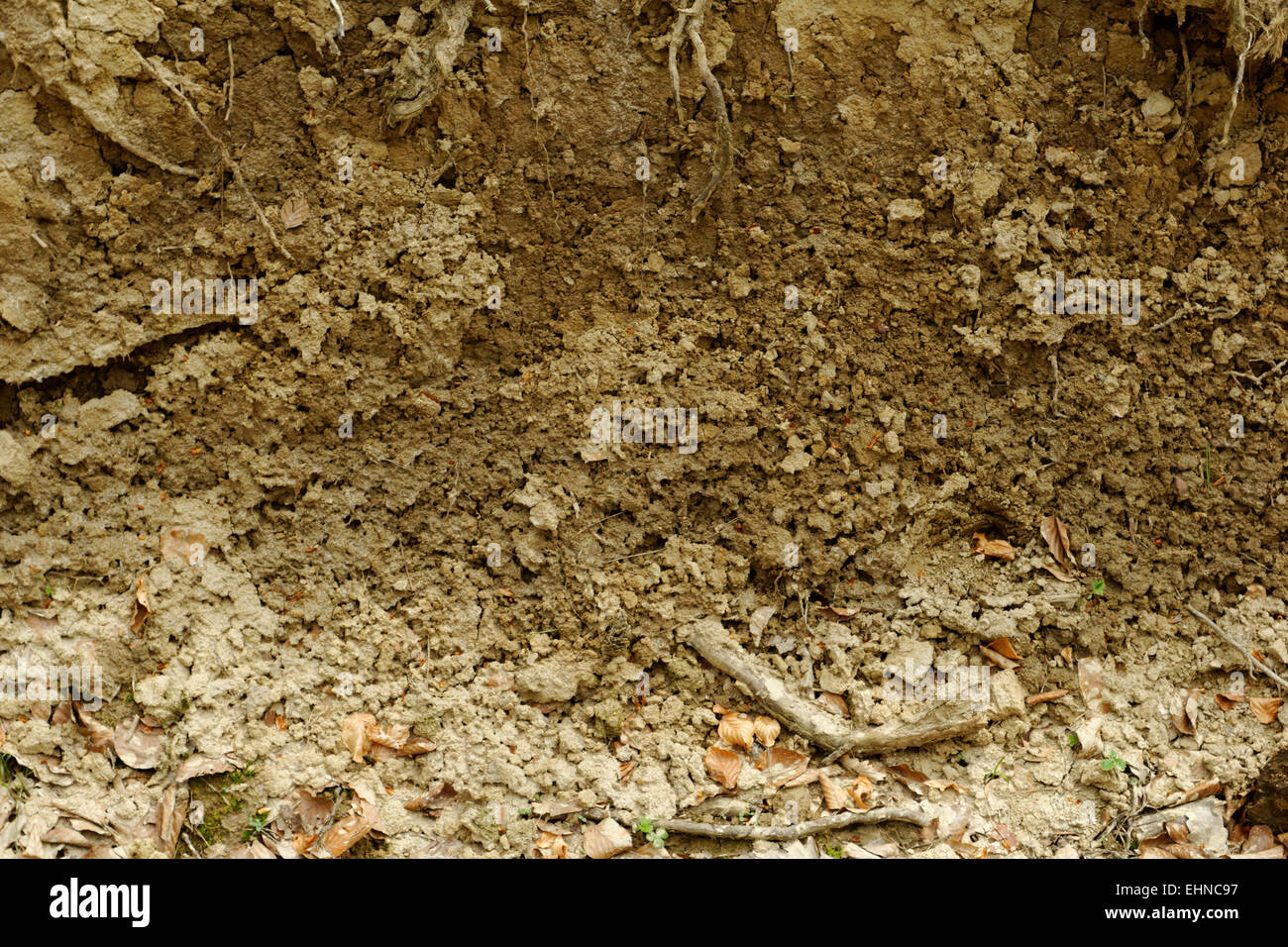 Mud wallpaper hi-res stock photography and images - Alamy