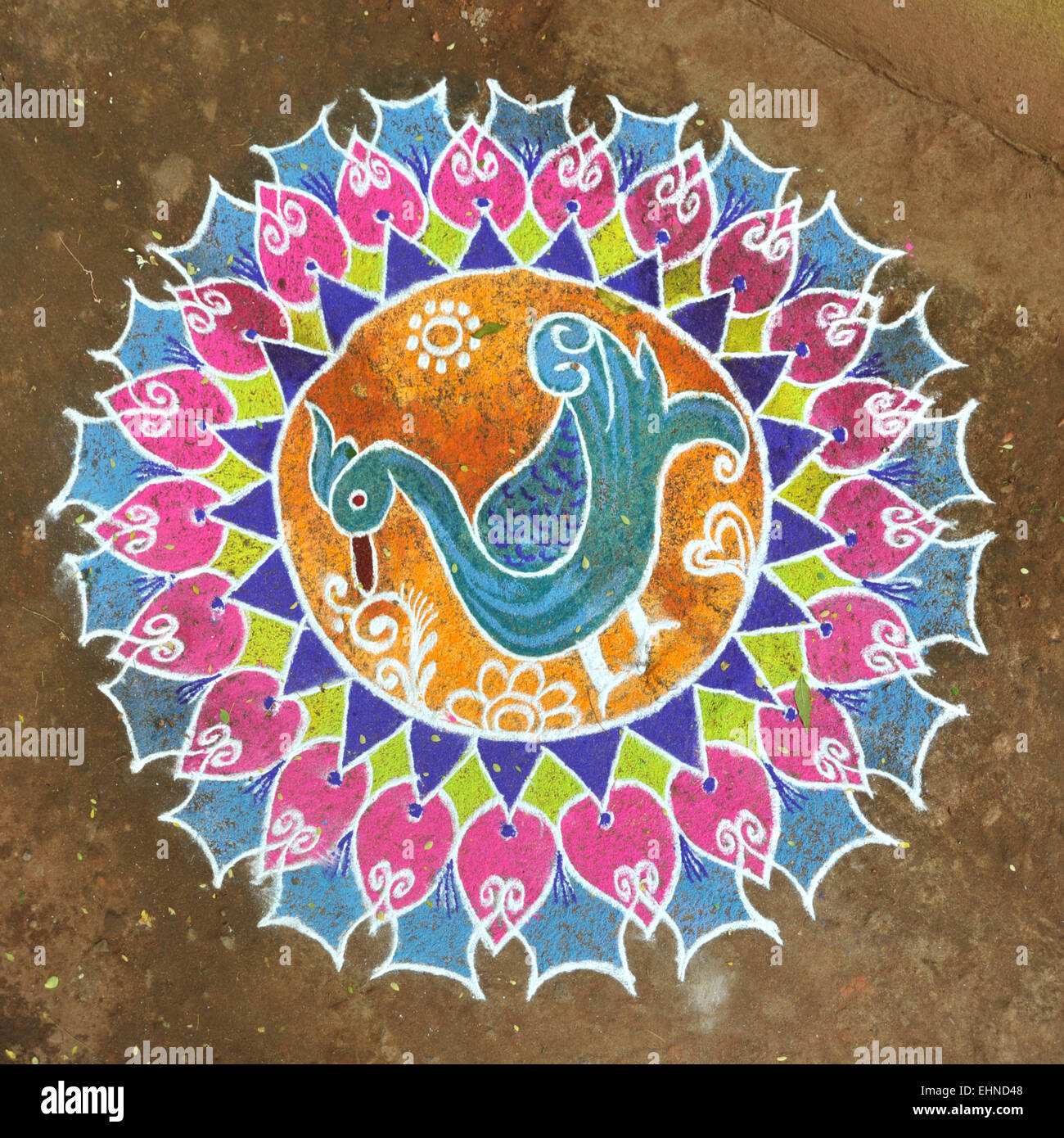 Kolams in the village of Kuilapalayam, during Pongal harvest festival ...