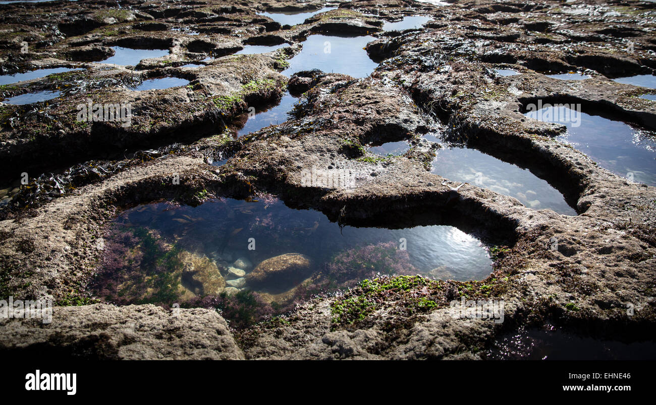 Tidal rock pools hi-res stock photography and images - Alamy