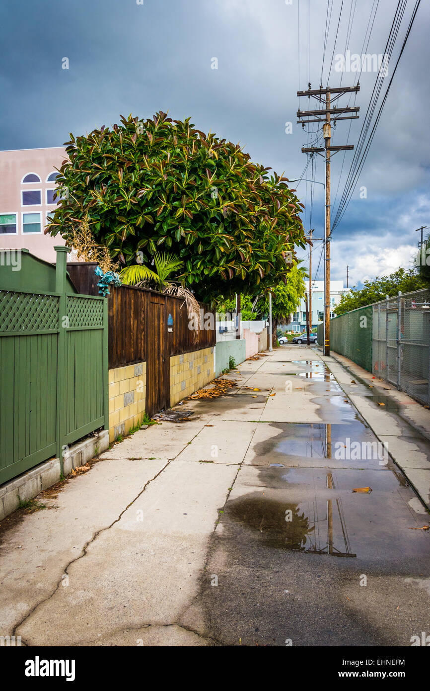 Alley in Venice Beach, Los Angeles, California Stock Photo - Alamy
