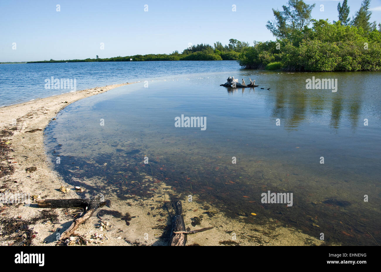Sand bar on Pine Island, Indian River, Intracoastal Waterway, Florida ...