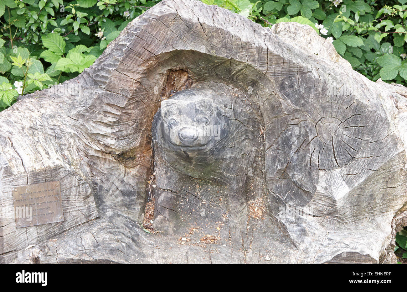 Carved wooden badger Stock Photo - Alamy