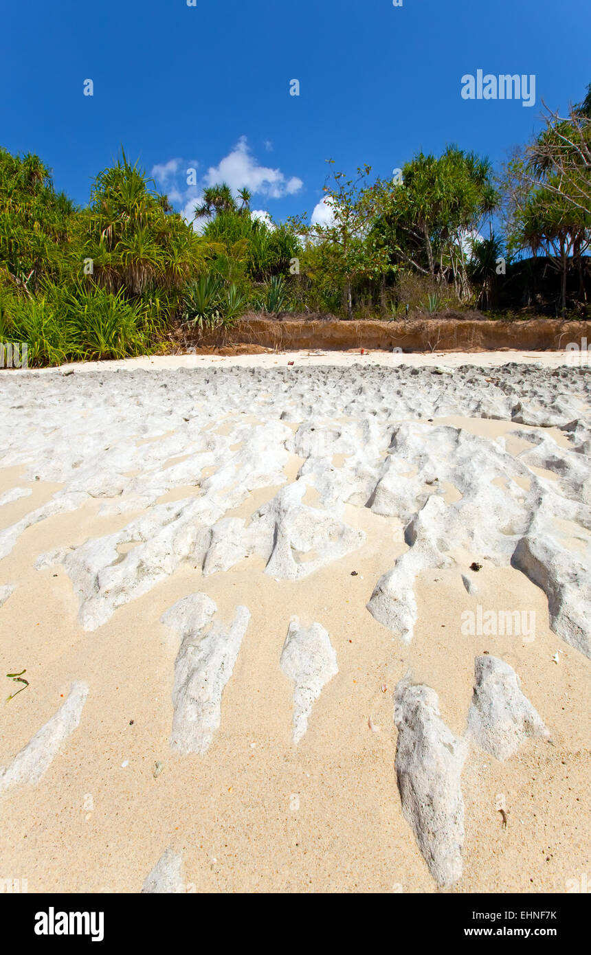 sandy beach . Indonesia, Bali Stock Photo - Alamy