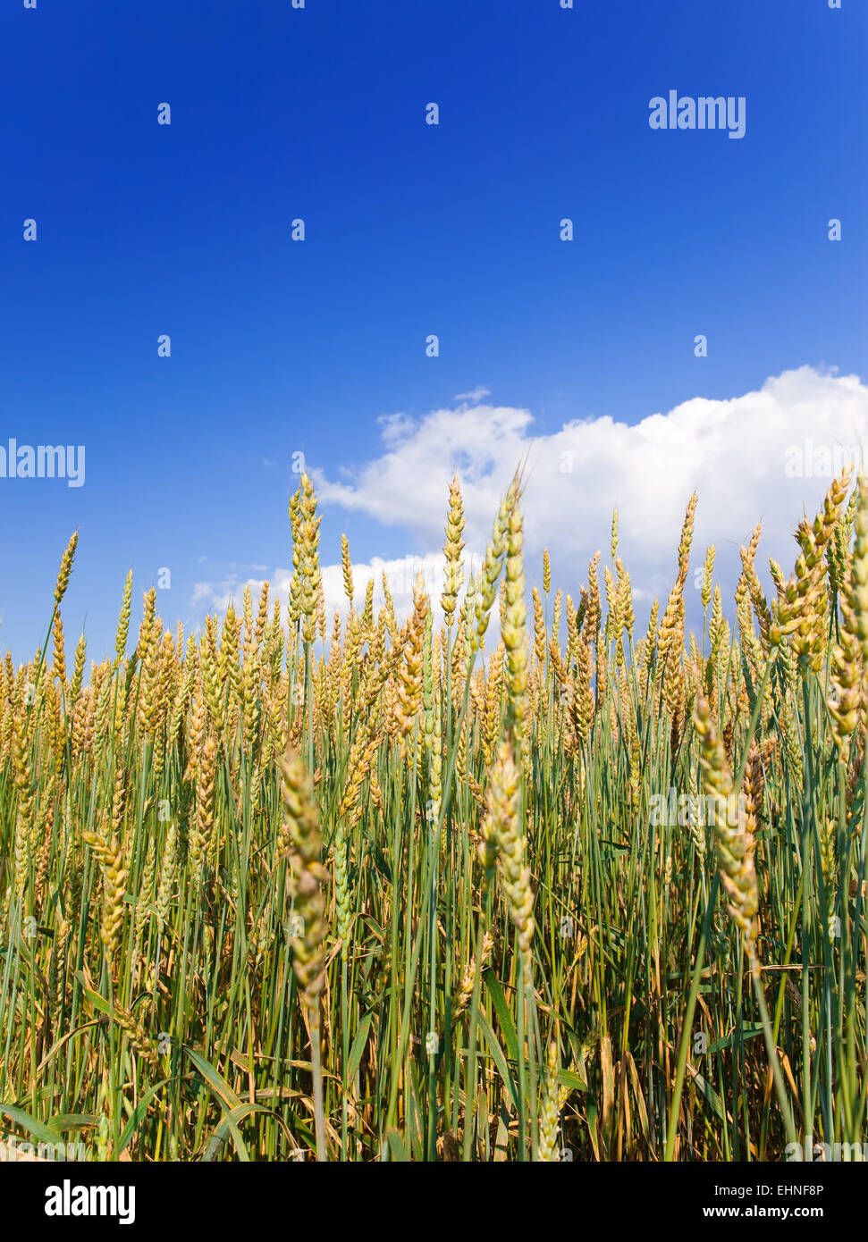 Azure sky hi-res stock photography and images - Alamy