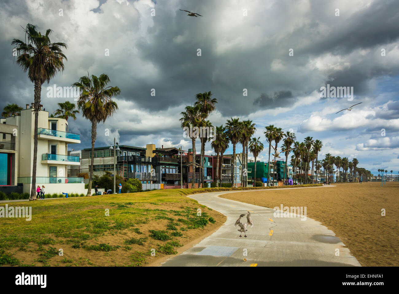 Bike path along the beach in Venice Beach, Los Angeles, California ...