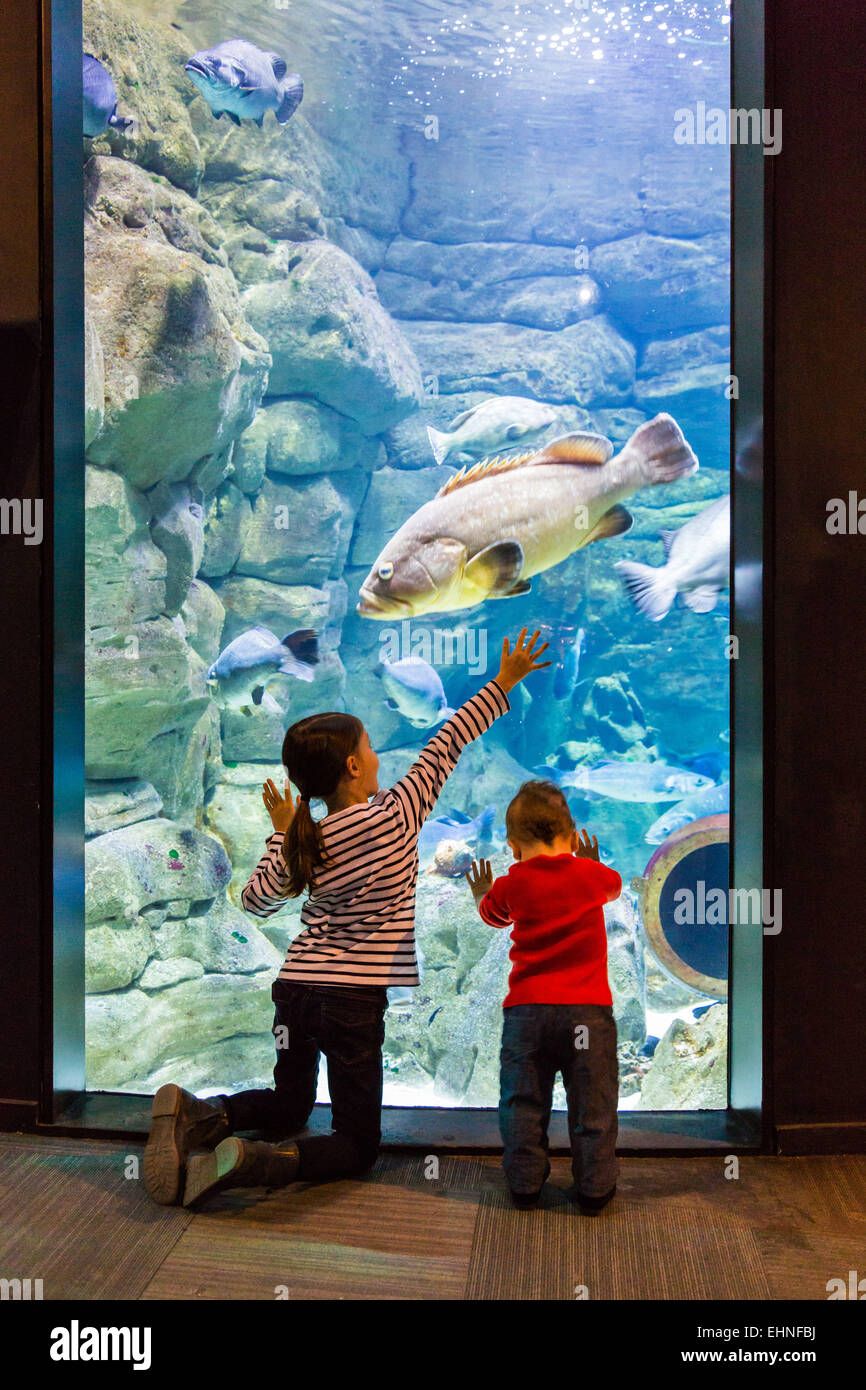 6 year old girl with 13 year old boy hi-res stock photography and images - Alamy