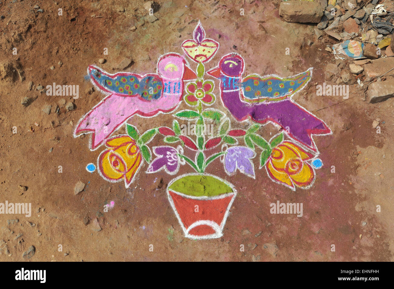 Kolams in the village of Kuilapalayam, during Pongal harvest festival ...