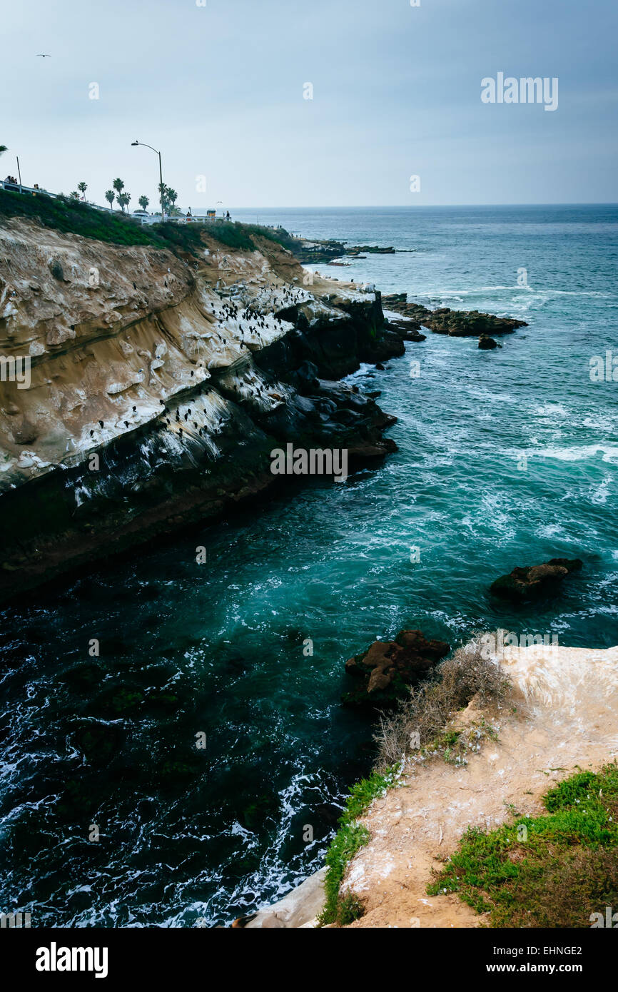 Cliffs along the Pacific Ocean, in La Jolla, California Stock Photo - Alamy