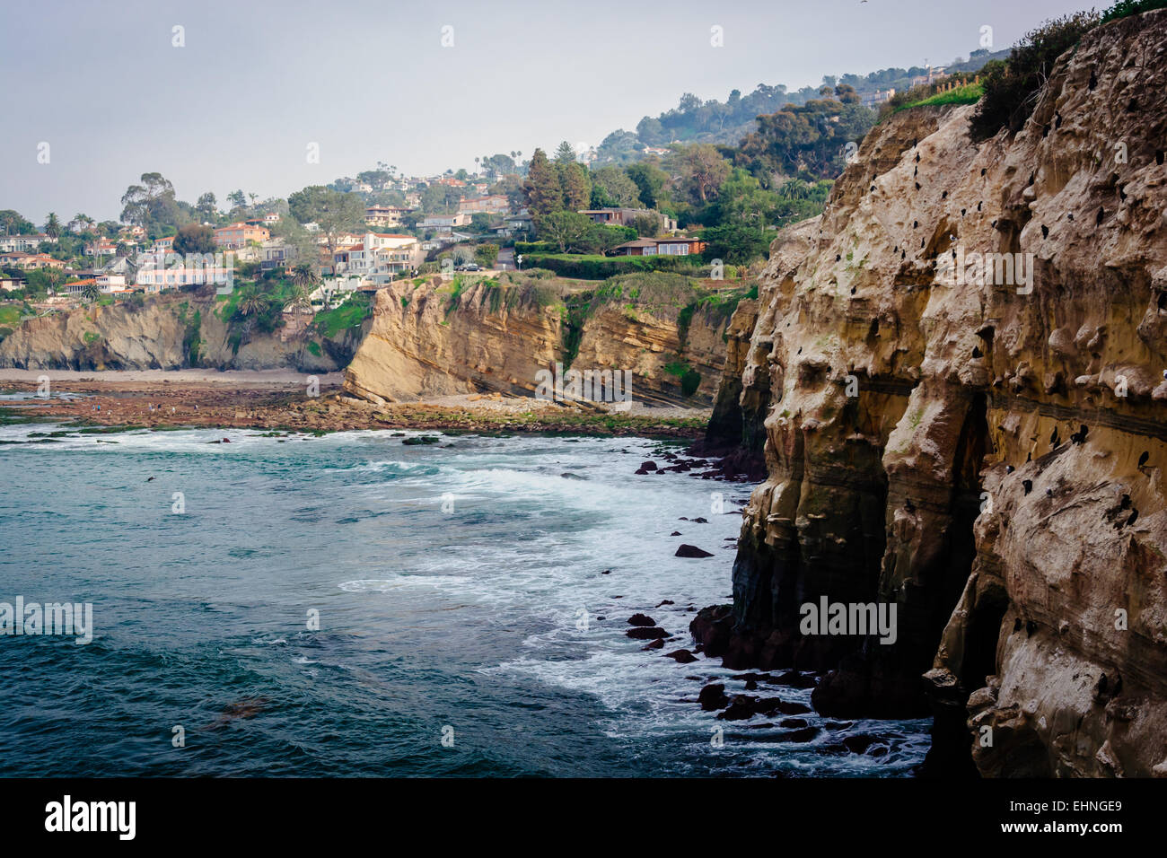 Cliffs along the Pacific Ocean, in La Jolla, California Stock Photo - Alamy