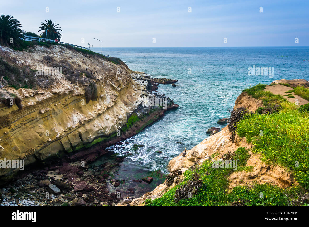 Cliffs along the Pacific Ocean, in La Jolla, California Stock Photo - Alamy