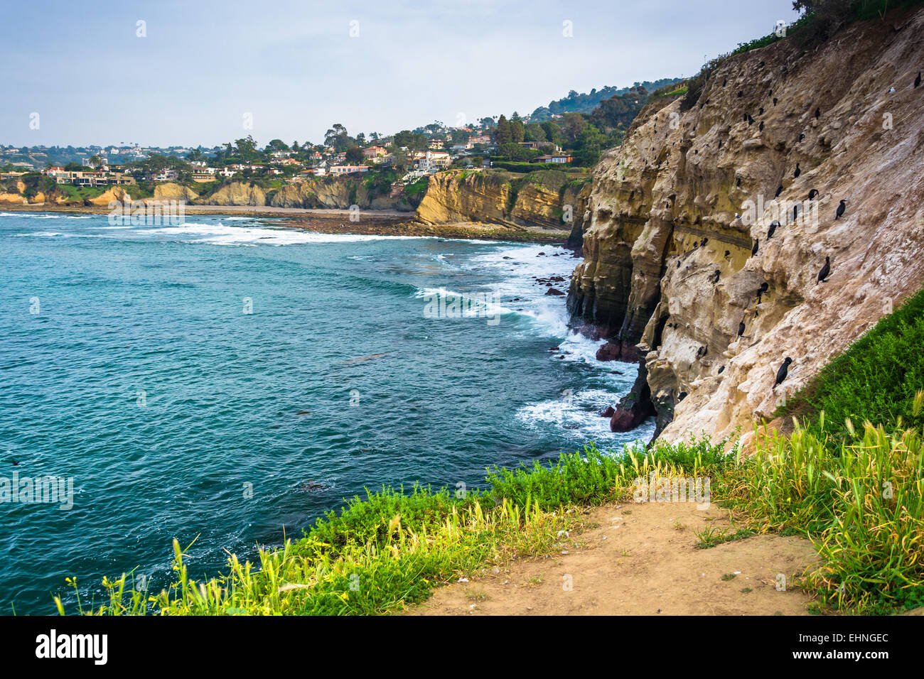 Cliffs along the Pacific Ocean, in La Jolla, California Stock Photo - Alamy