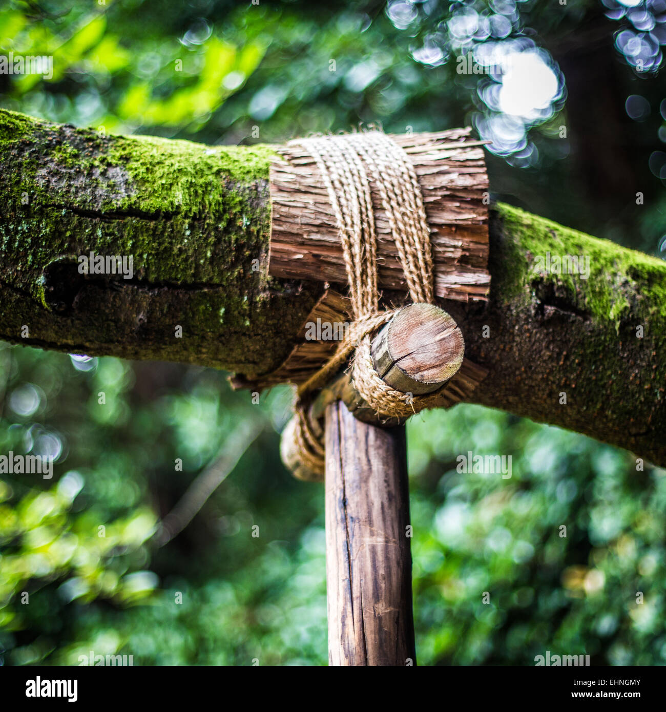 Splint hi-res stock photography and images - Alamy