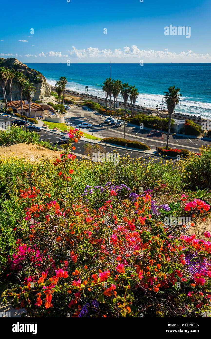 Colorful flowers and view of San Clemente State Beach from Calafia Park ...