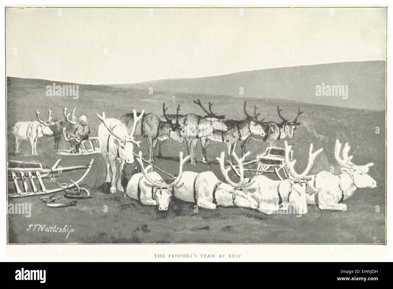 TB(1895) p209 THE PROPHET'S TEAM AT REST Stock Photo - Alamy