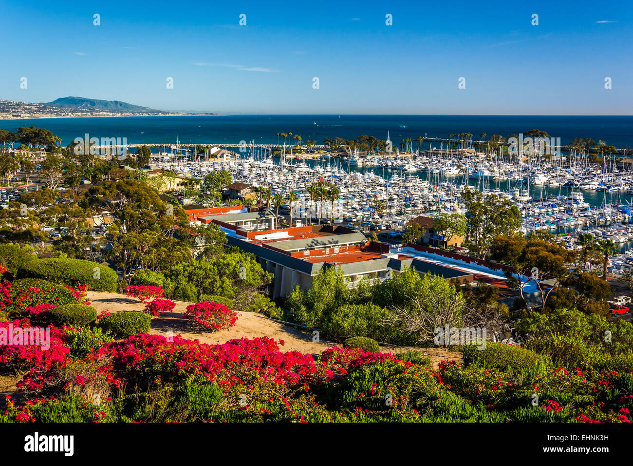 Flowers And View Of The Harbor From Heritage Park In Dana Point