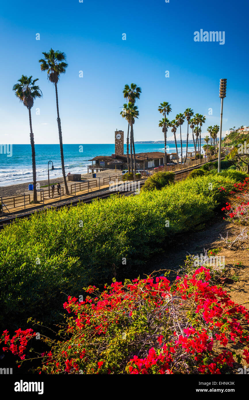Flowers and view of the beach in San Clemente, California Stock Photo ...