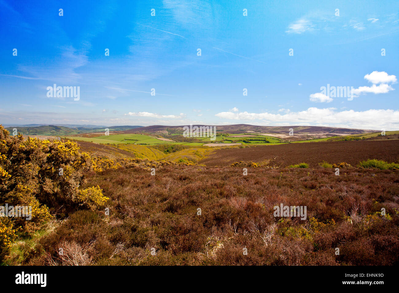 The view of Dunkery Beacon - 1,705ft - the highest point on Exmoor and ...