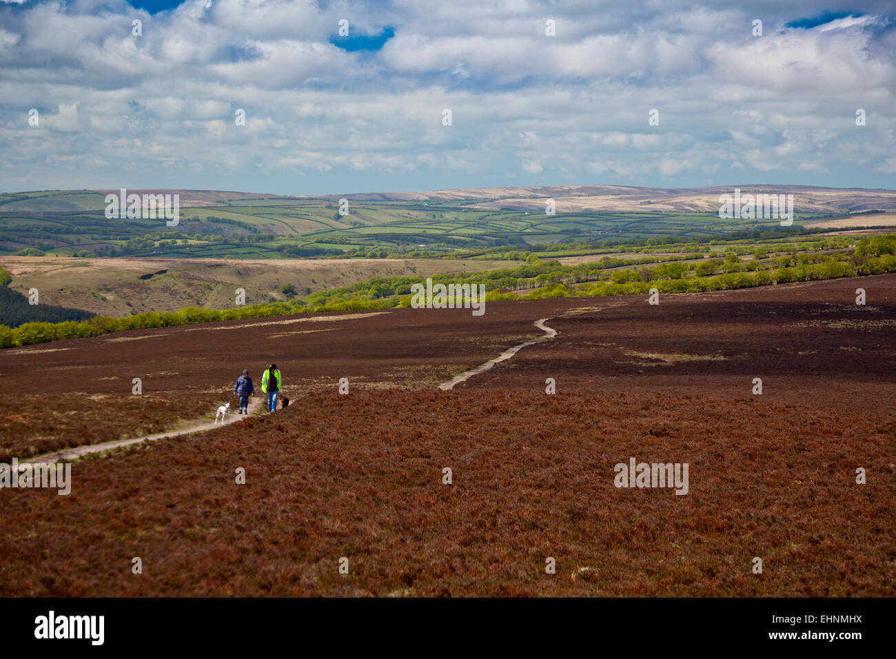 the summit of Dunkery Beacon 1,705ft - the highest point on Exmoor and ...