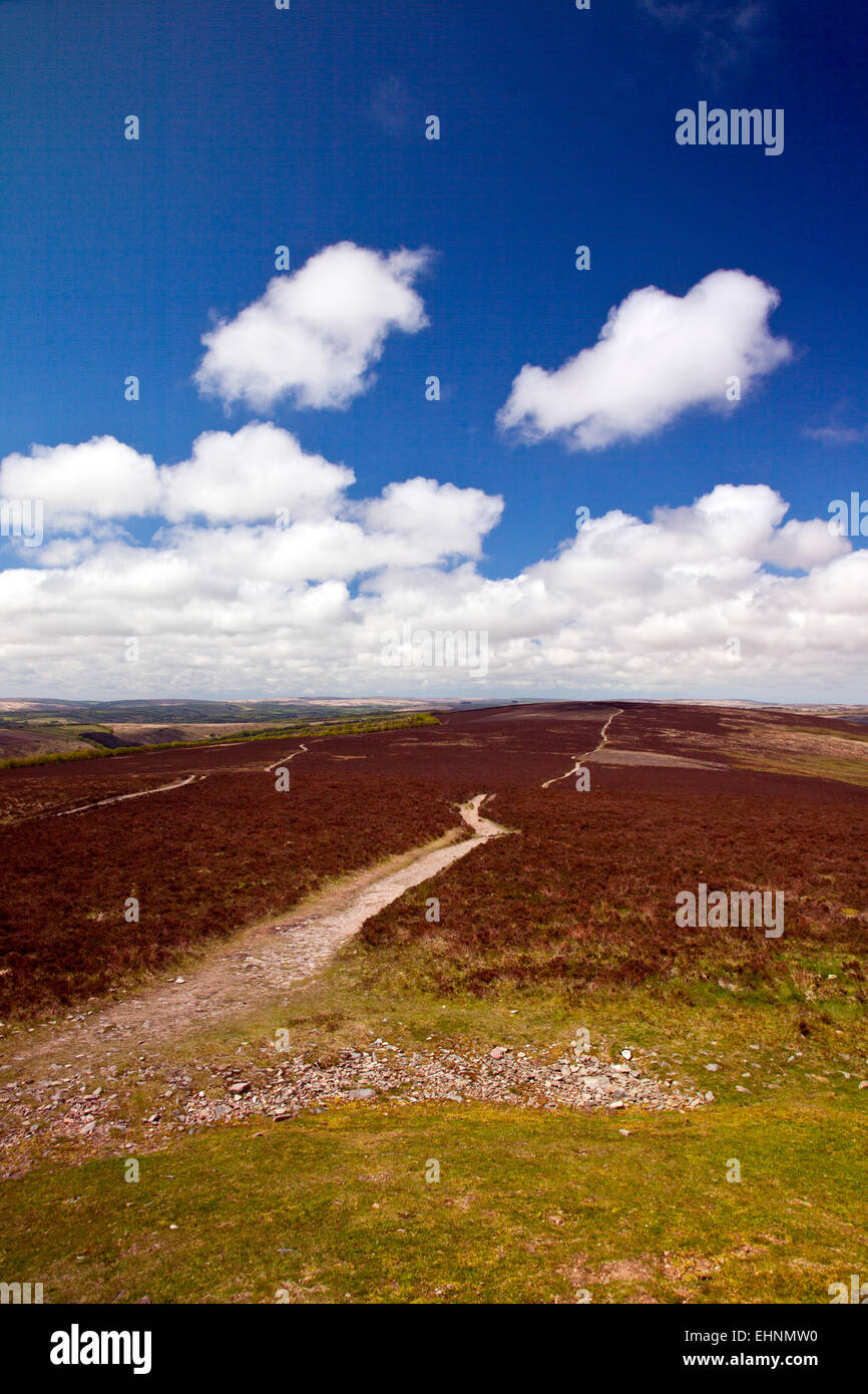 Looking west from the summit of Dunkery Beacon 1,705ft - the highest ...